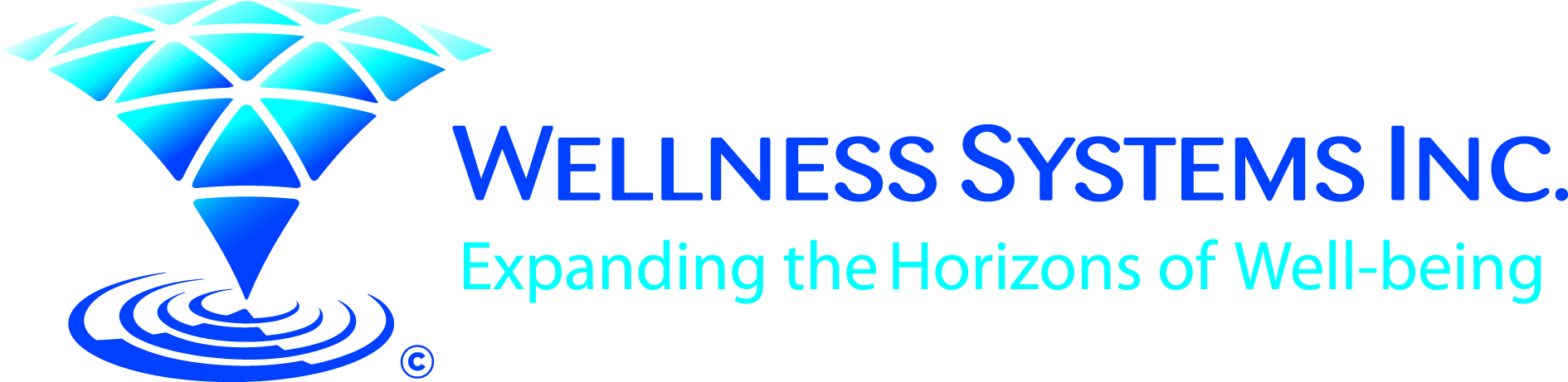Devices – Wellness Systems Inc.